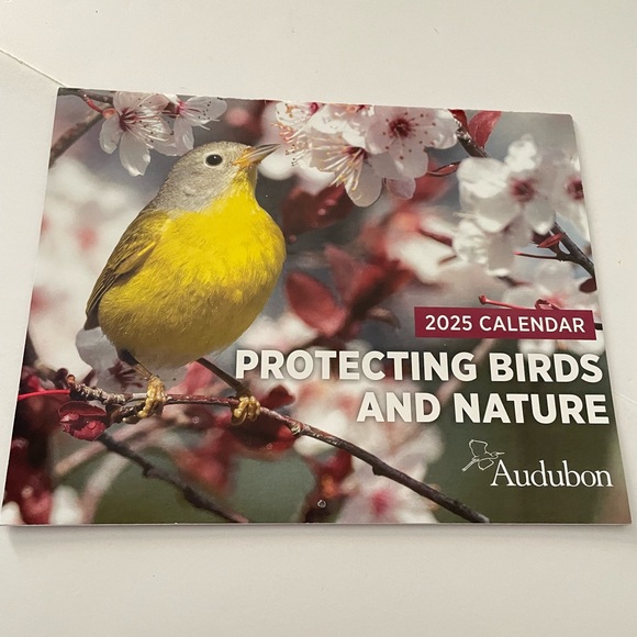 Office | 225 Bird Calendar Protecting Birds And Nature | Poshmark